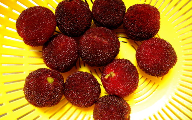 (101 Things About Shanghai) Decidedly Seasonal Fruit – Ephemera and ...