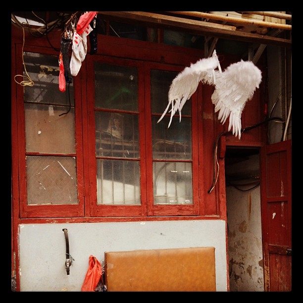 It’s been a while, Shanghai – Ephemera and Detritus